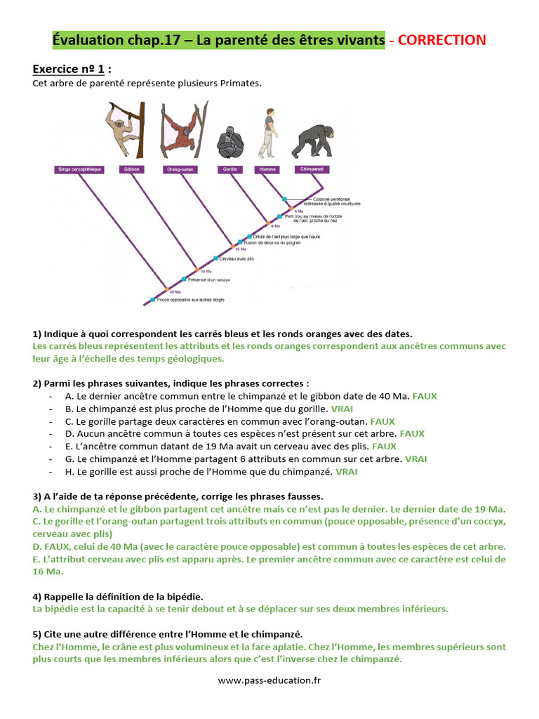 Évaluation Chap.17 La Parenté Des Êtres Vivants Correction | PDF | Gorille