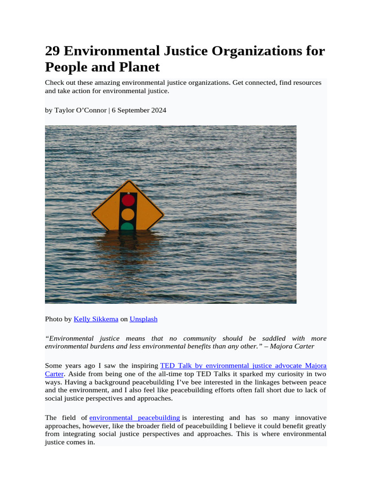 29 Environmental Justice Organizations For People and Planet | PDF ...