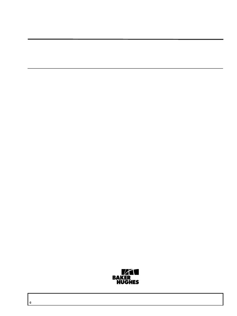 New Production R3 Packer - 24 | PDF | Valve | Mechanical Engineering