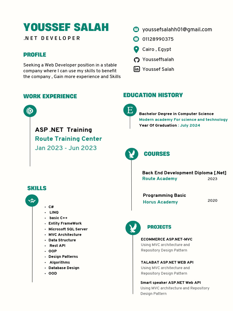 Youssef Salah CV | PDF | Art | Computers