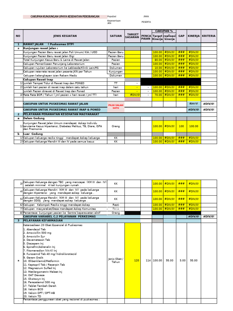 Format PKP Ukp (PKP) Farmasi Jan-Jun 24 | PDF