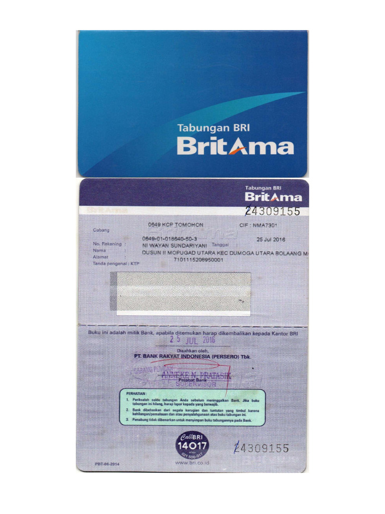 BRI | PDF