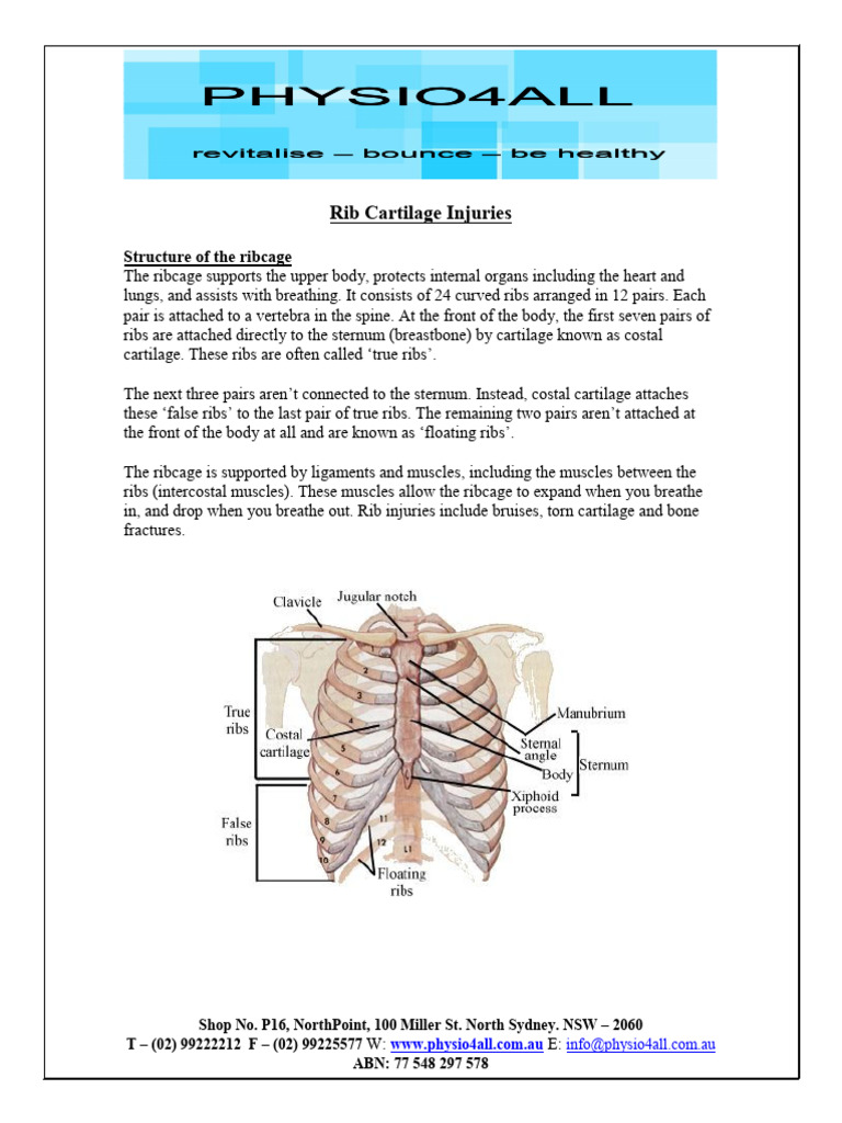 Rib Cartilage Injuries | PDF | Thorax | Diseases And Disorders