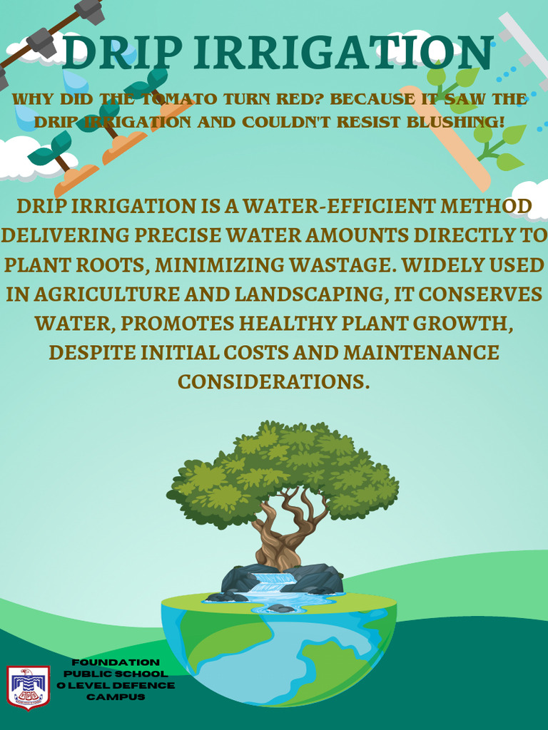 Drip Irrigation | PDF