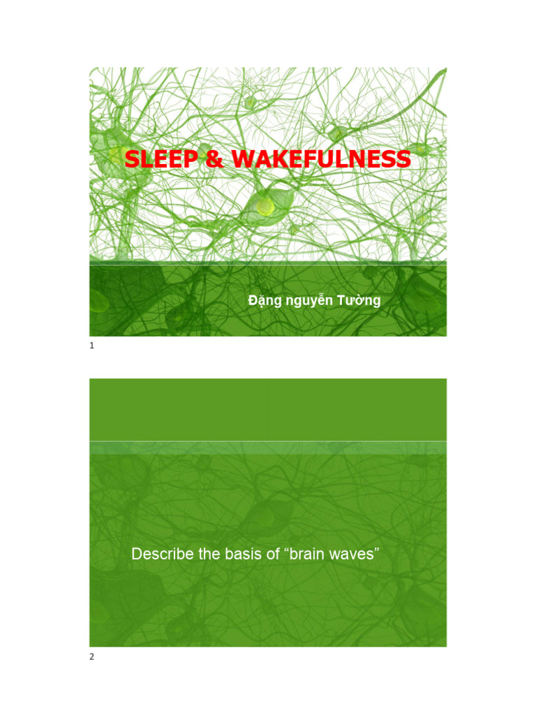 4.2. Sleep and Wakefulness | PDF