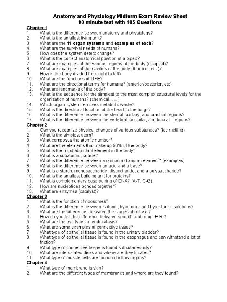 A&P Midterm Exam Review Sheet - 07 | Download Free PDF | Nervous System ... A&P Midterm Exam Review Sheet - 07 | Download Free PDF | Nervous System ...