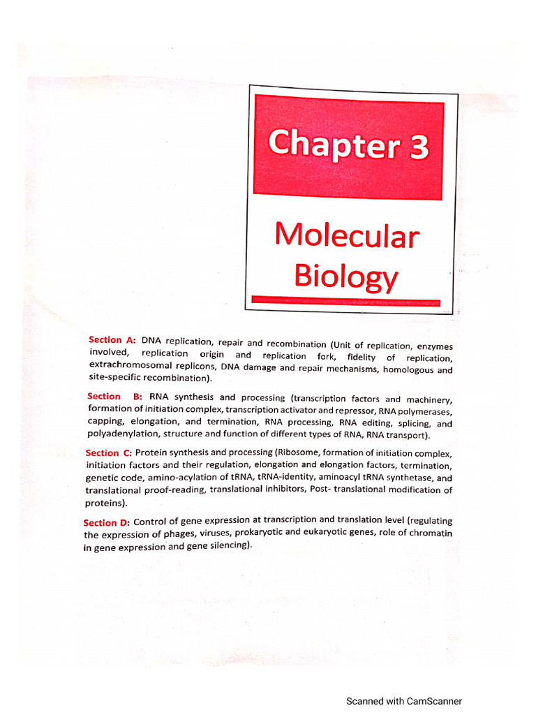 3 Molecular Biology | PDF
