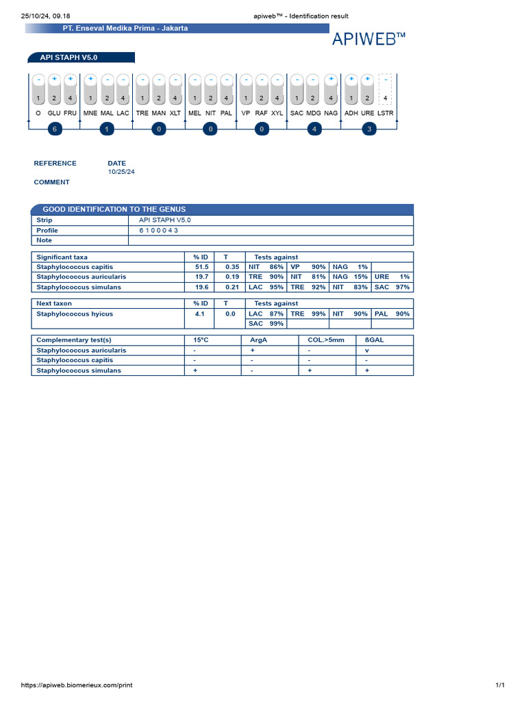 Apiweb™ - Identification Result | PDF