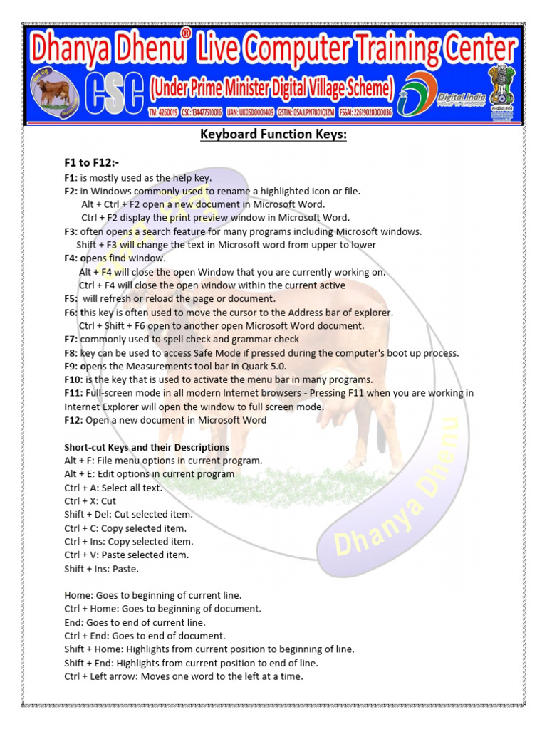 Dhanya Dhenu Live Computer Training - Keyboard Shortcut Keys | PDF