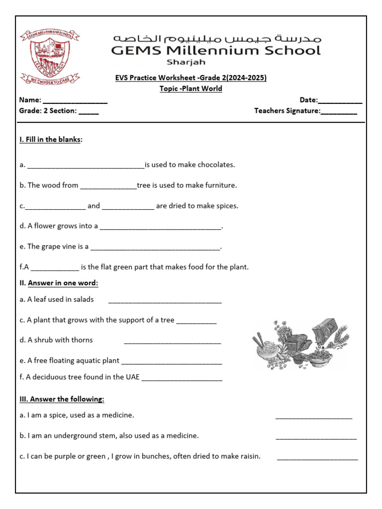 Plant World - Practice Worksheet - HHW | PDF