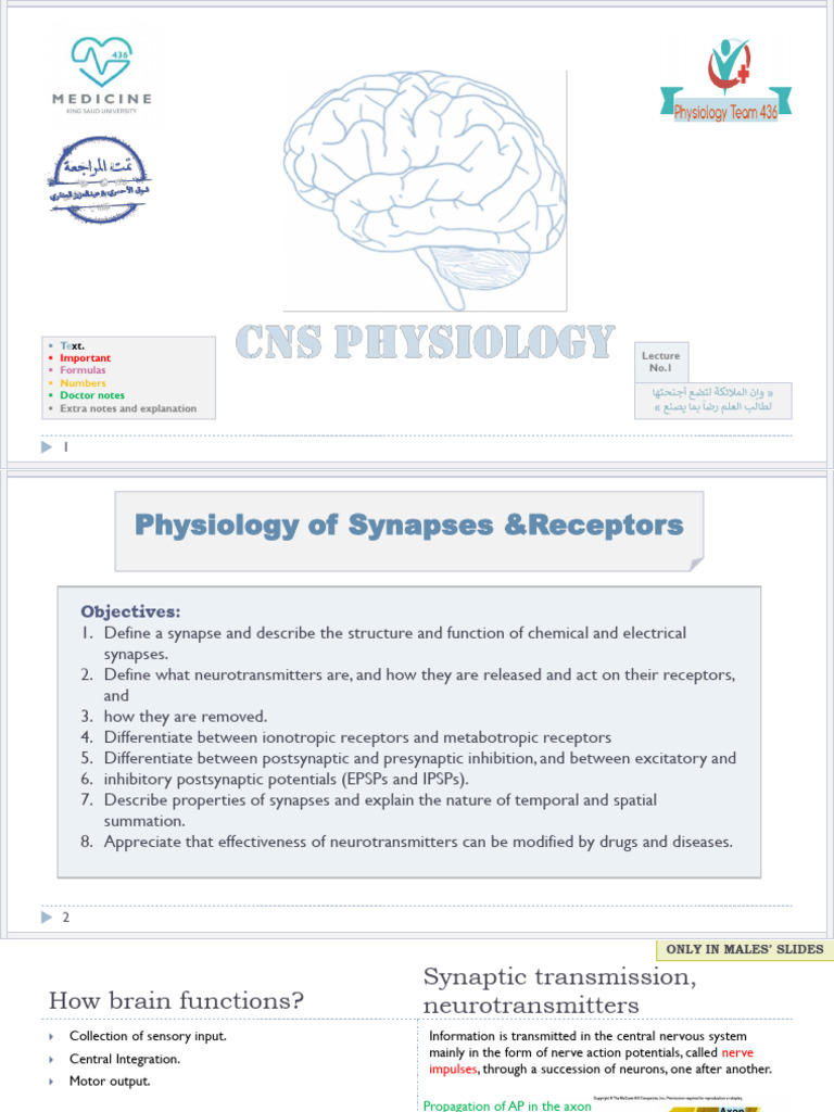1-Physiology of Synapses & Receptors | PDF | Chemical Synapse ...