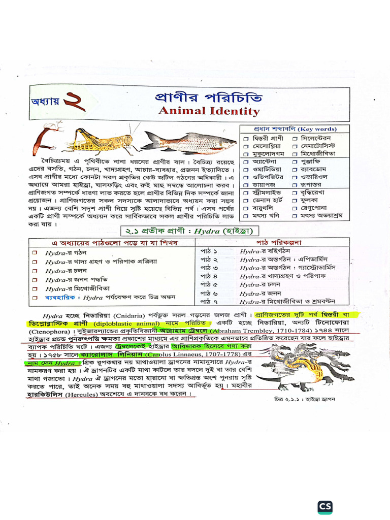 Animal Identity | PDF