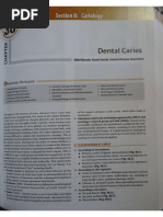 Shobha Tandon's Pediatric Dentistry Guide | PDF | Dentistry | Dentistry ...