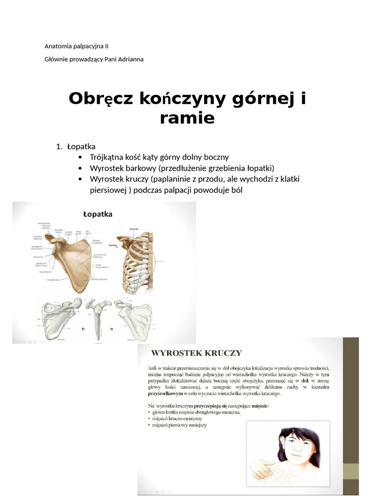 Anatomia Palpacyjna II | PDF
