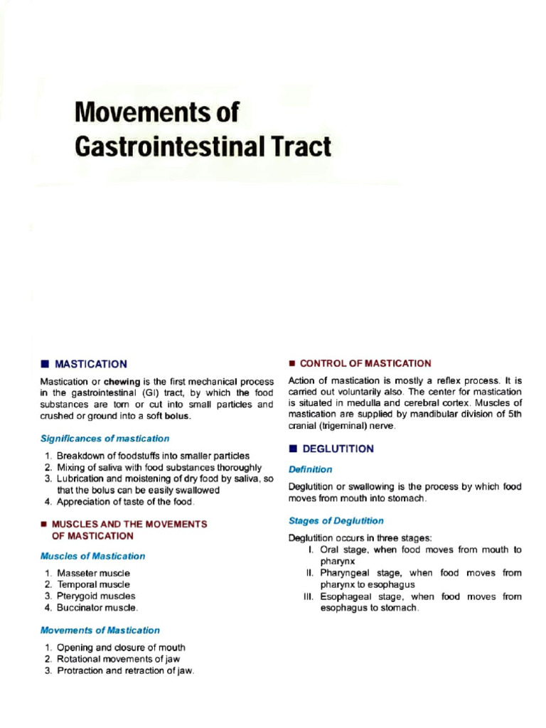 GI Tract Movements: Mastication to Peristalsis | PDF | Stomach ...