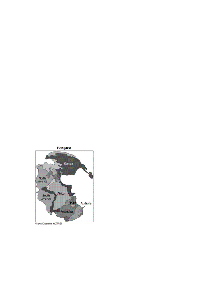 Plate Tectonics Student Quiz | PDF | Plate Tectonics | Earth