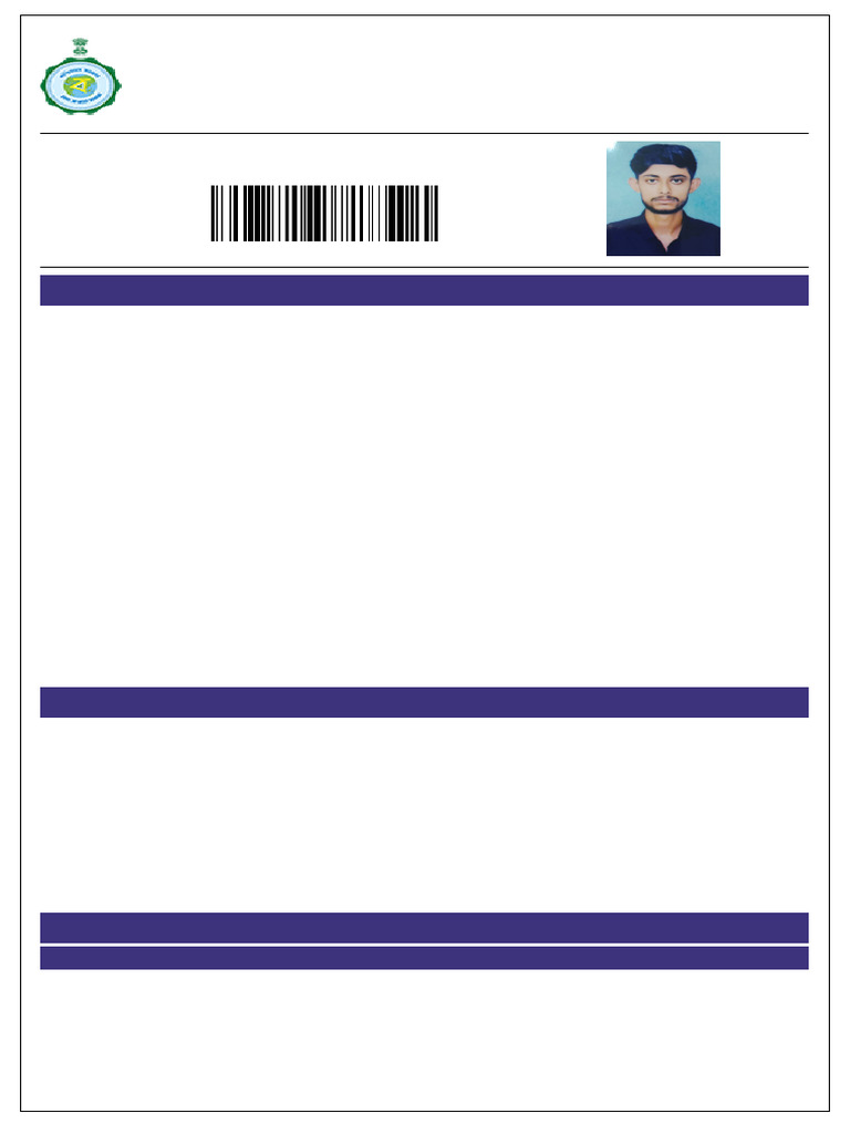 AMI ROY-Application | PDF