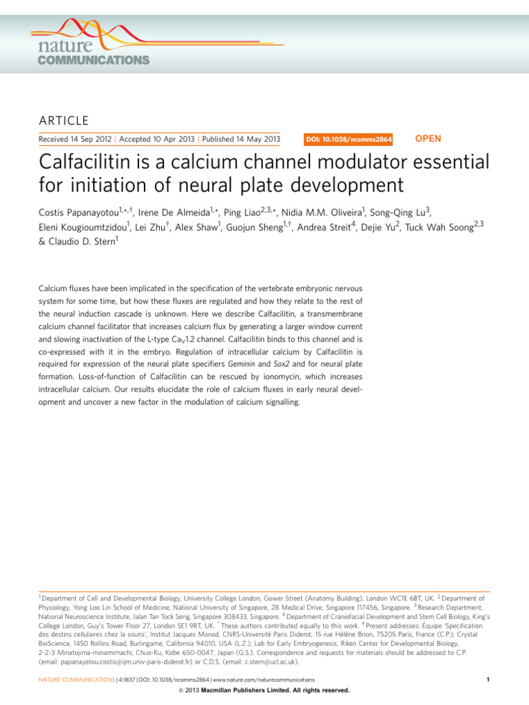 Calfacilitin: Key Role in Neural Plate Development | PDF | Microscopy ...