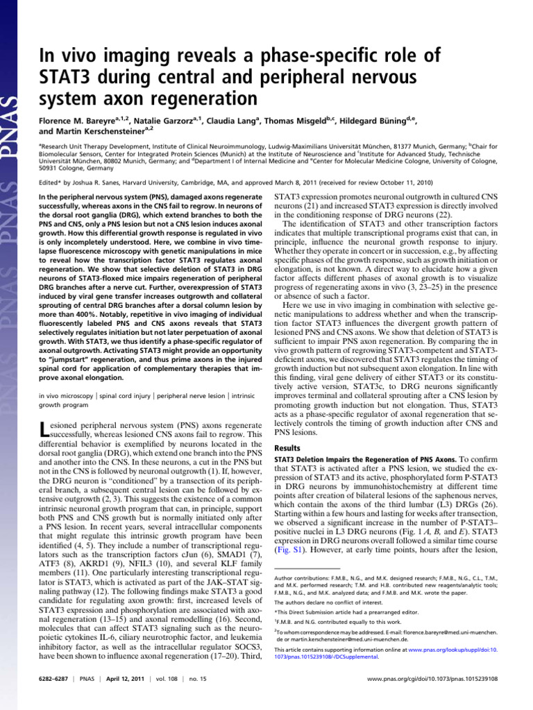 In Vivo Imaging Reveals A Phase-Specific Role of STAT3 During Central and Peripheral Nervous ...