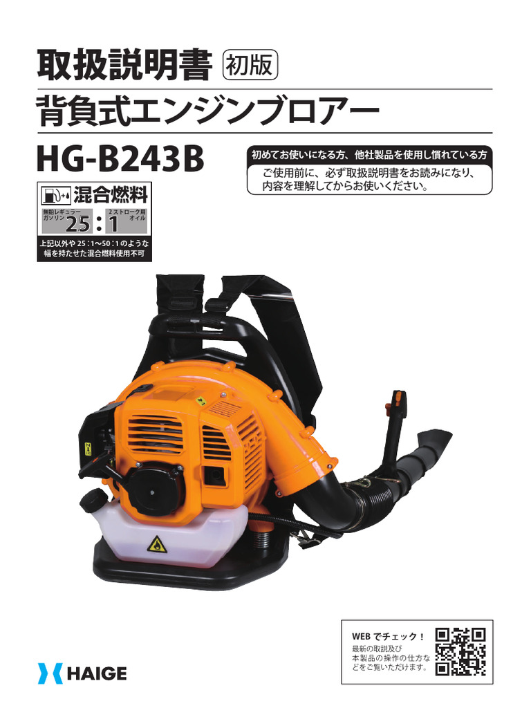 HG b243b Web | PDF
