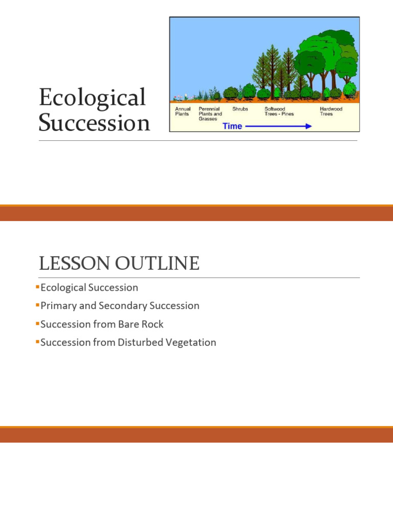 Lesson 3 Ecological Succession | PDF | Forests | Soil