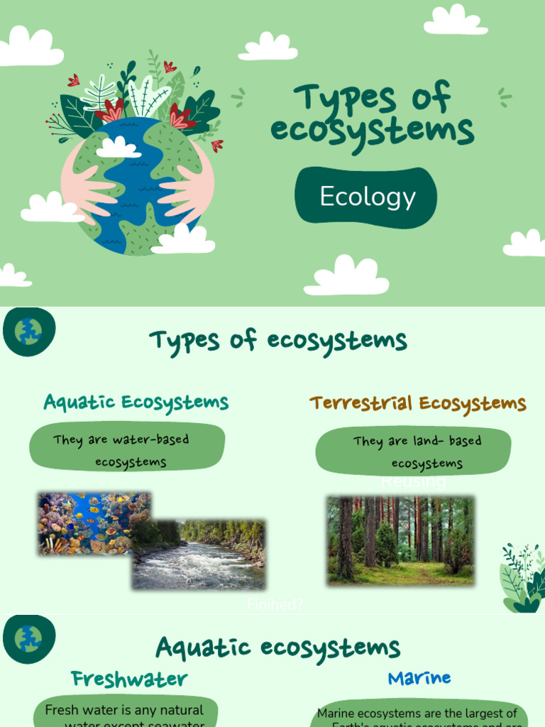 Lesson 4 Types Of Ecosystems Pdf Forests Aquatic Ecosystem