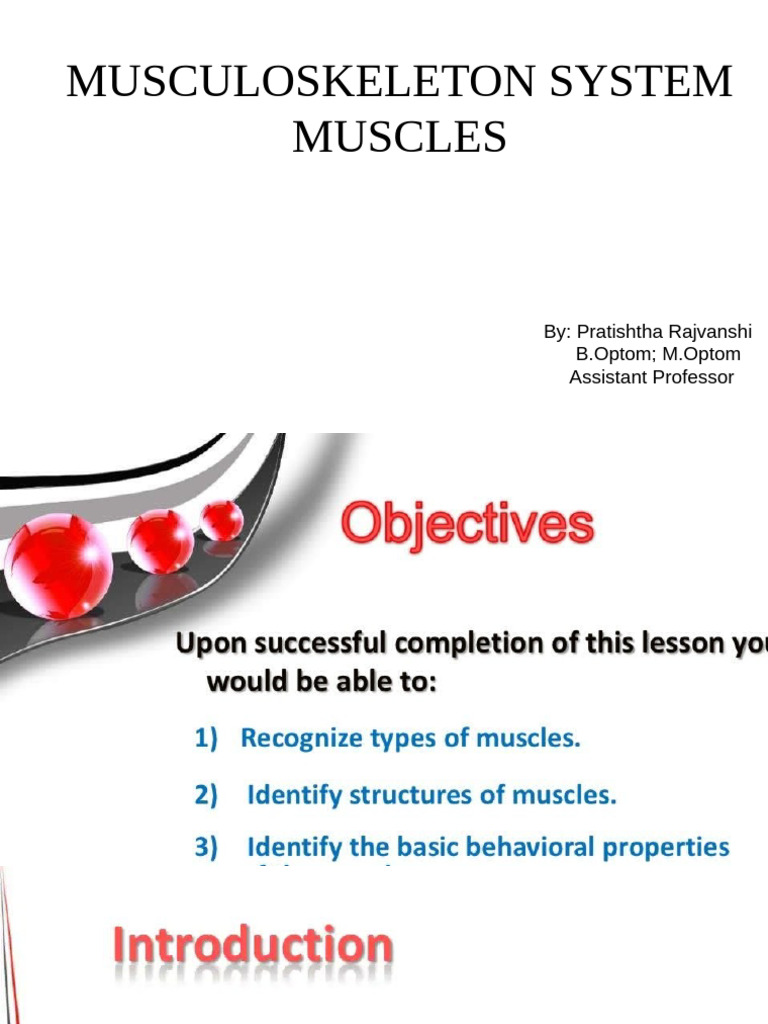 Muscles | PDF