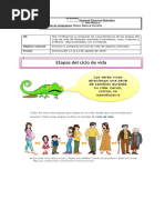 Ciclo de Vida de Mamíferos para Niños | PDF