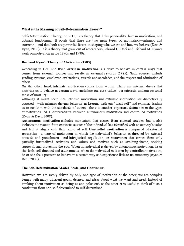 Motivation Theories | PDF | Self Efficacy | Motivational