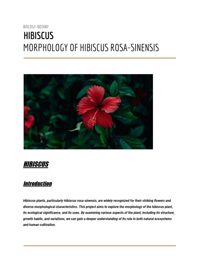 BOTANY | PDF | Flowers | Horticulture