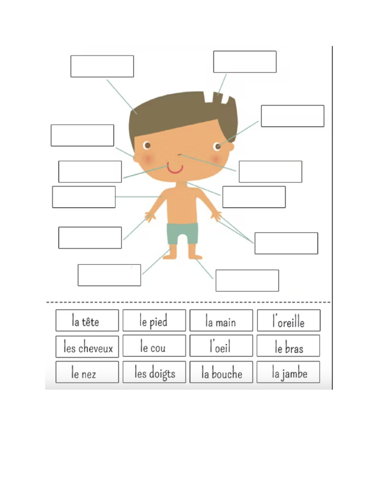 Francuski Vezbanje - Delovi Tela | PDF