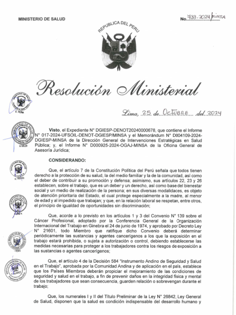 RM N°733-2024 MINSA | PDF