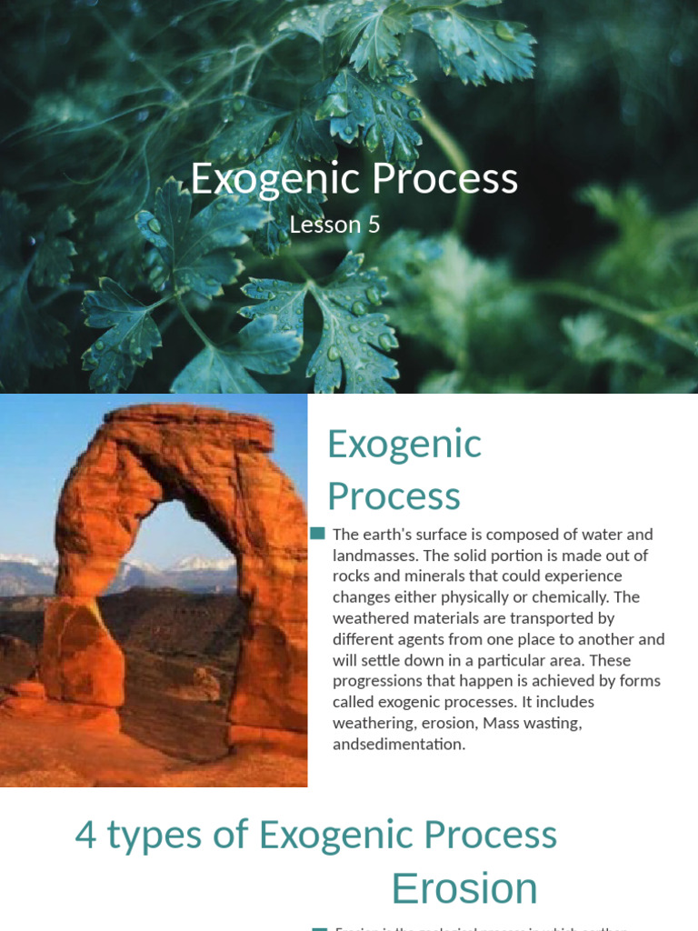 Exogenic Proces WPS Office | PDF | Erosion | Weathering
