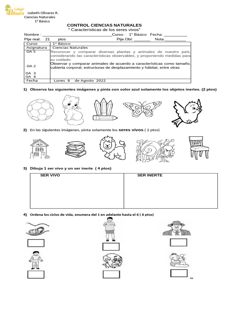 Actividades de Ciencias Naturales 1° Básico | PDF