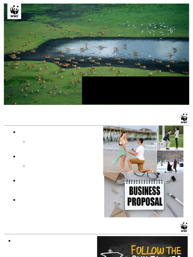 Guide To Proposal Writing MFinal | PDF | Project Management | Cognition