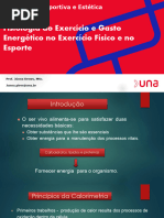 Treinamento Esportivo - Lev Matveev | PDF