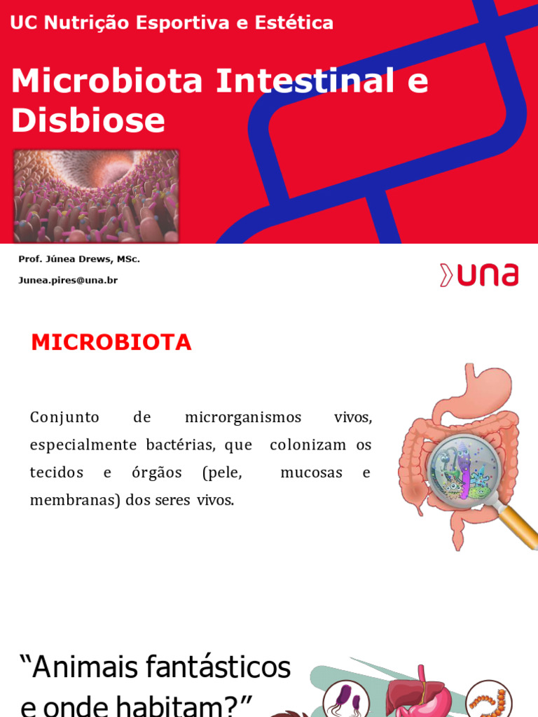 Microbiota Intestinal e Saúde Materna | PDF | Fibra alimentar | Dieta e ...