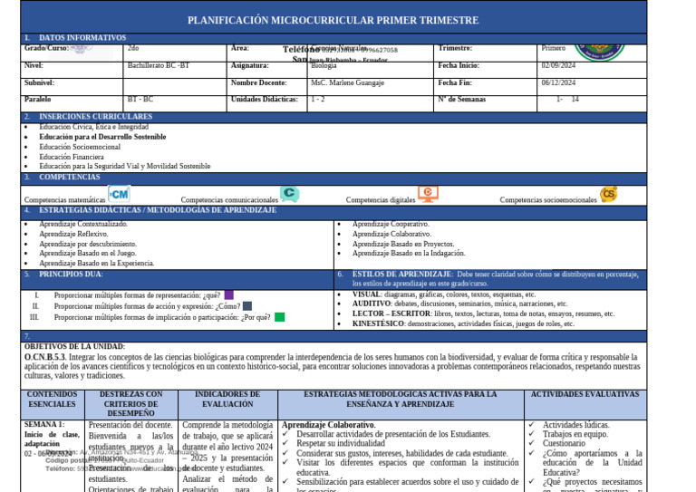 Planificación Microcurricular 2024-2025 Actualizado | PDF | Aprendizaje | Maestros