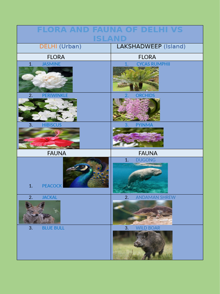 Flora and Fauna of Delhi VS Island | PDF | Social Science