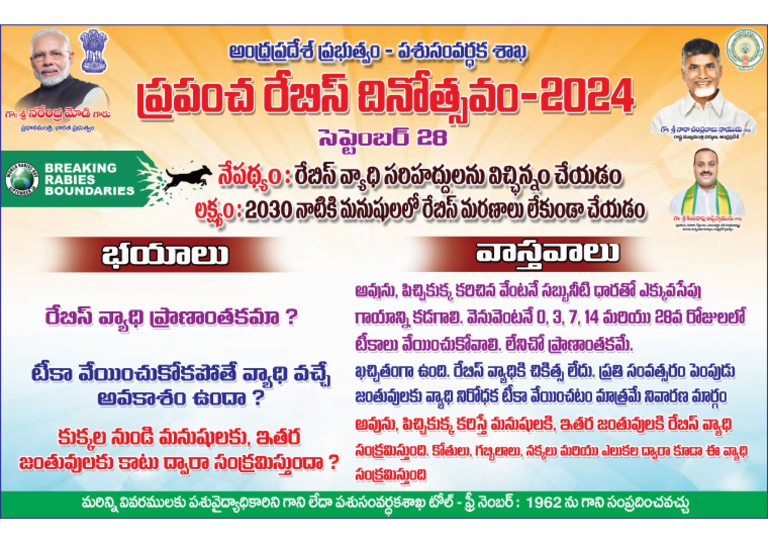 Rabies Pamphlet 2024 | PDF