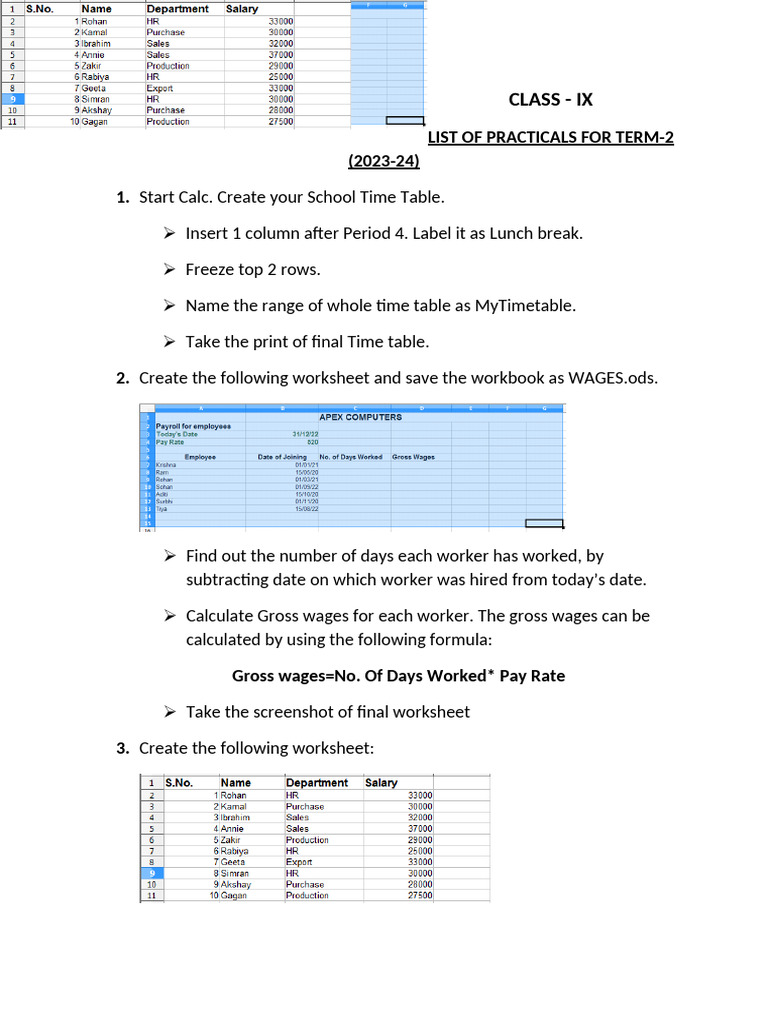CLASS IX Practical List | PDF | Computers