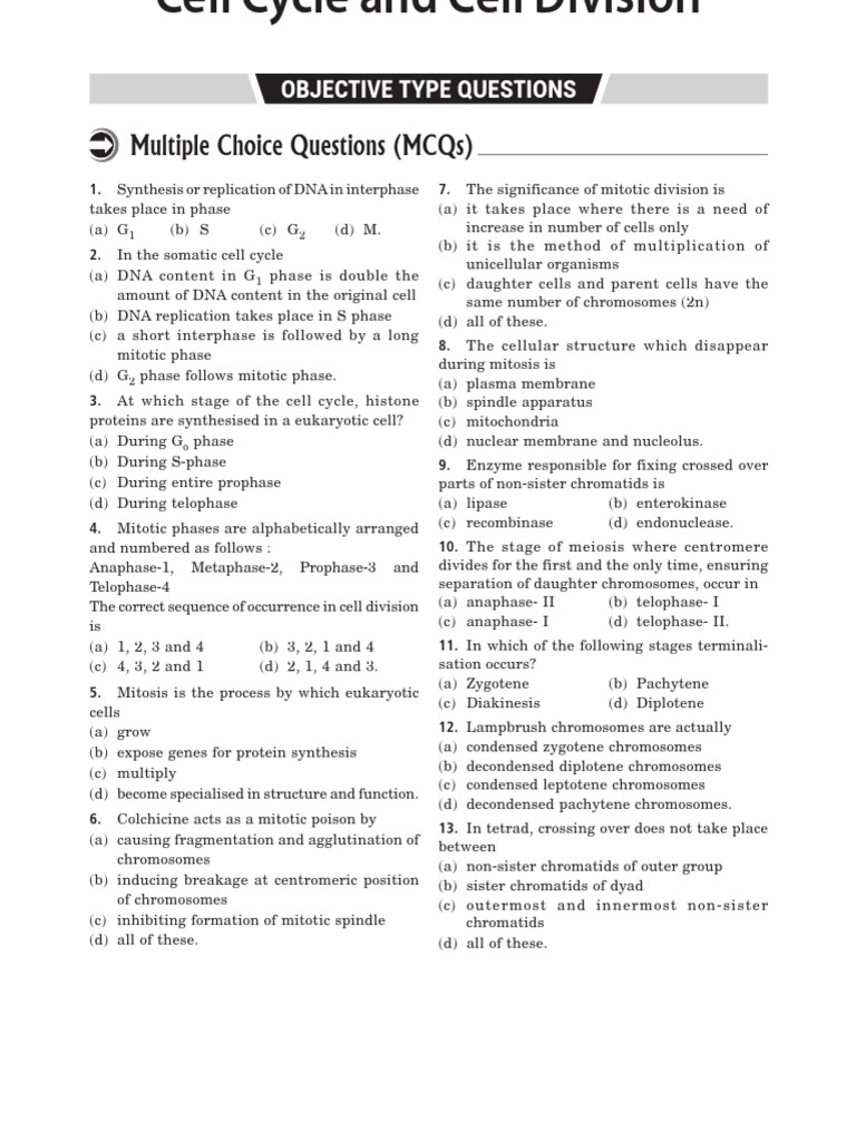 Cell Cycle and Cell Division Practice Paper | PDF | Meiosis | Mitosis