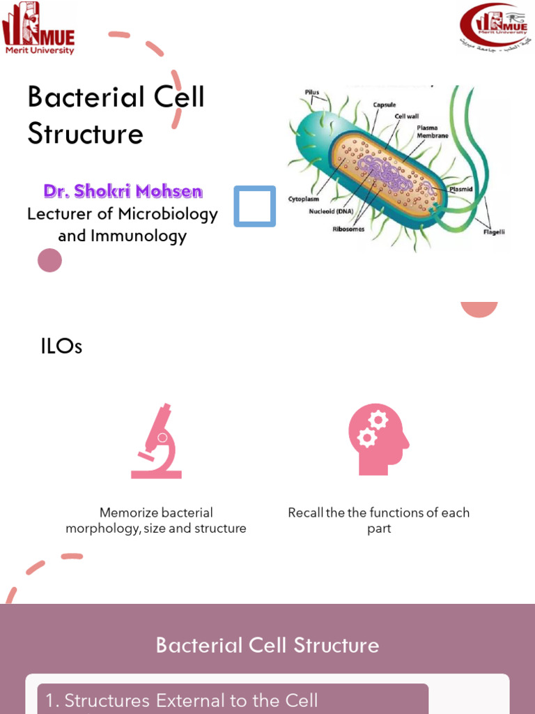 Medical Terminology-Second Lecture | PDF | Cell (Biology) | Bacteria