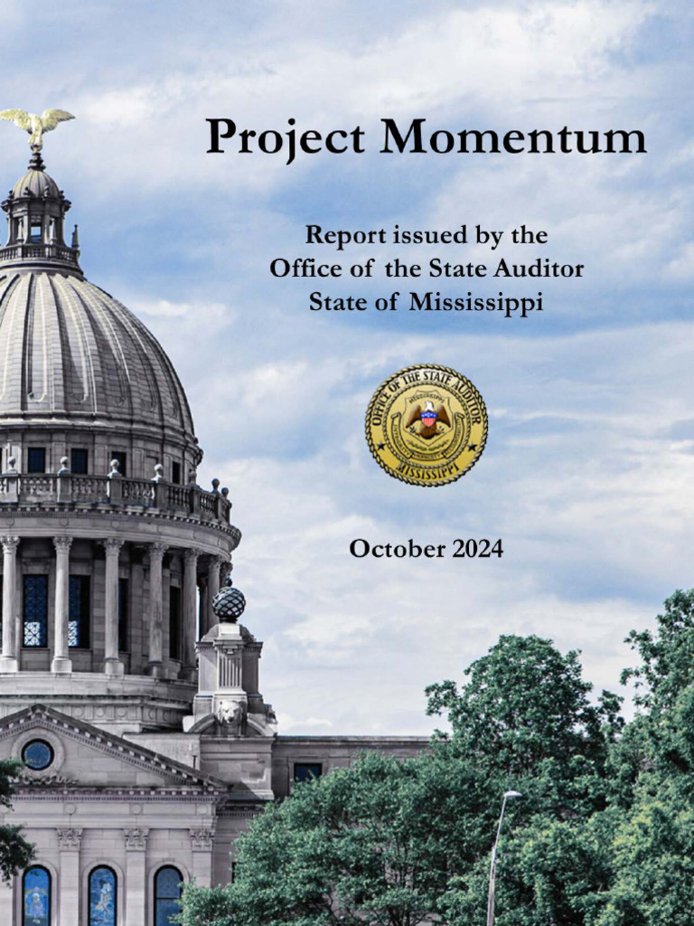 Project Momentum | PDF | Procurement | Request For Proposal