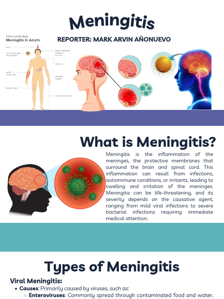Meningitis | PDF | Meningitis | Diseases And Disorders