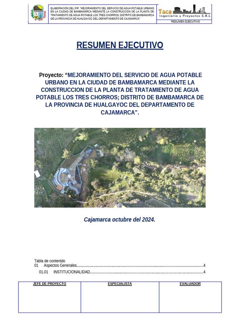 Resumen Ejecutivo | PDF | Agua | Agua potable