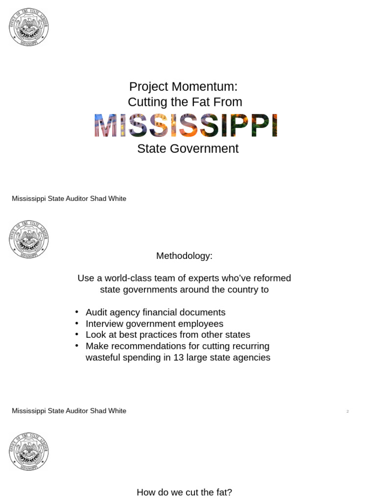Project Momentum | PDF | Procurement | Medicaid