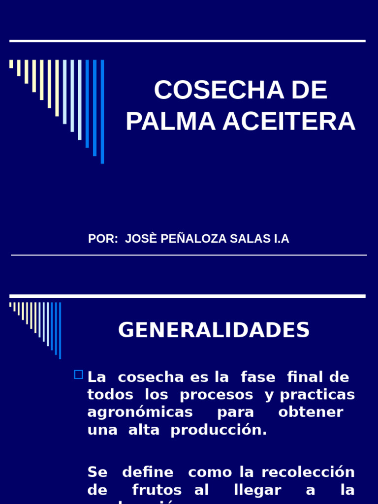 Charla 9 Cosecha - 1 | PDF | Cosecha | Aceite de oliva