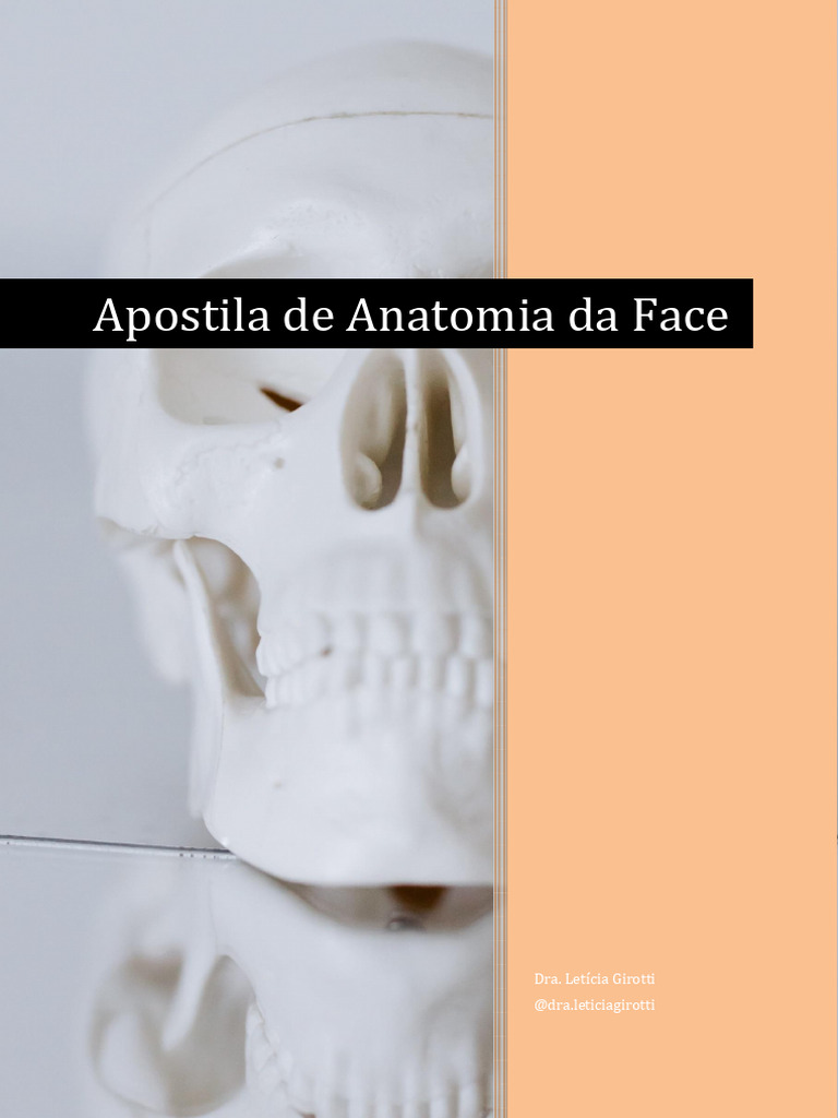 Apostila Anatomia Da Face | PDF | Língua | Cabeça e pescoço humano