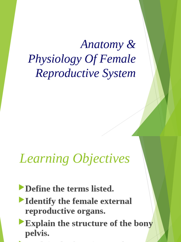 1 A&P Female Reproductive System | PDF | Vagina | Uterus